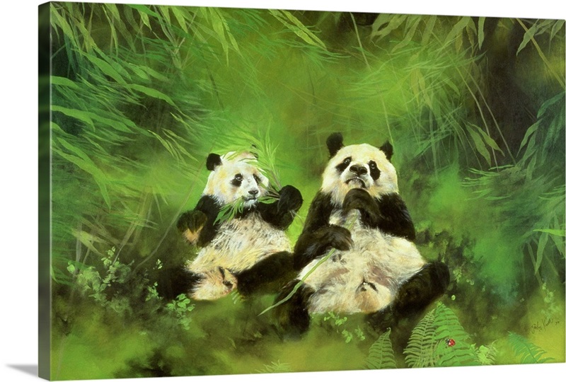 Pandas, 1998 | Great Big Canvas