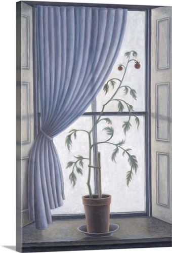 Plant in Window, 2003 | Great Big Canvas
