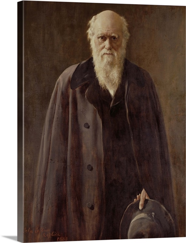 Portrait of Charles Darwin (1809-1882) 1883 | Great Big Canvas