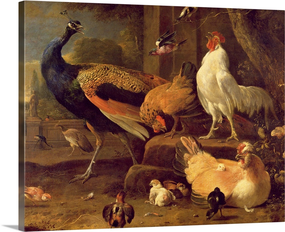 Poultry, c.1670 Wall Art, Canvas Prints, Framed Prints, Wall Peels ...