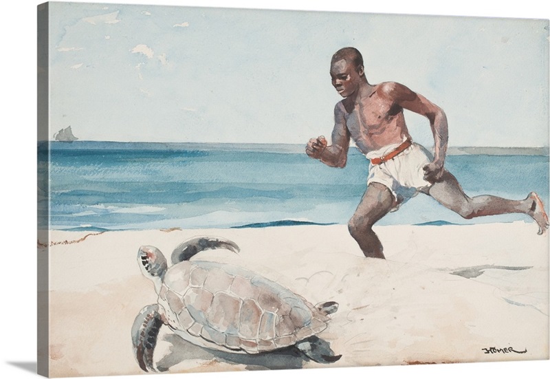 Rum Cay | Great Big Canvas