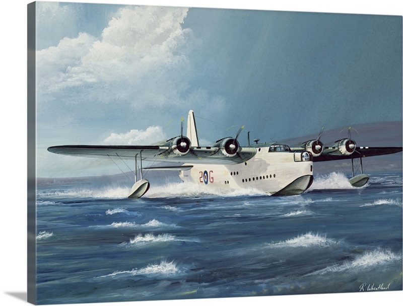 Short Sunderland, 1999 | Great Big Canvas