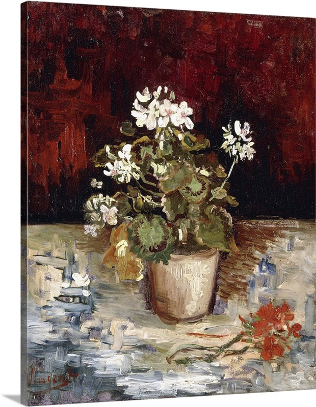 Still-Life Pot Of Geraniums, 1886 | Great Big Canvas
