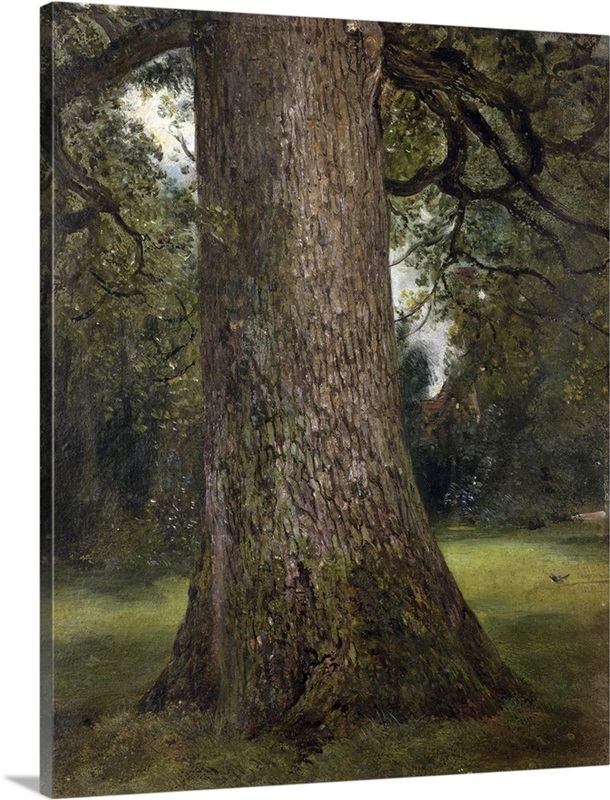 Study Of The Trunk Of An Elm Tree, 1821 | Great Big Canvas