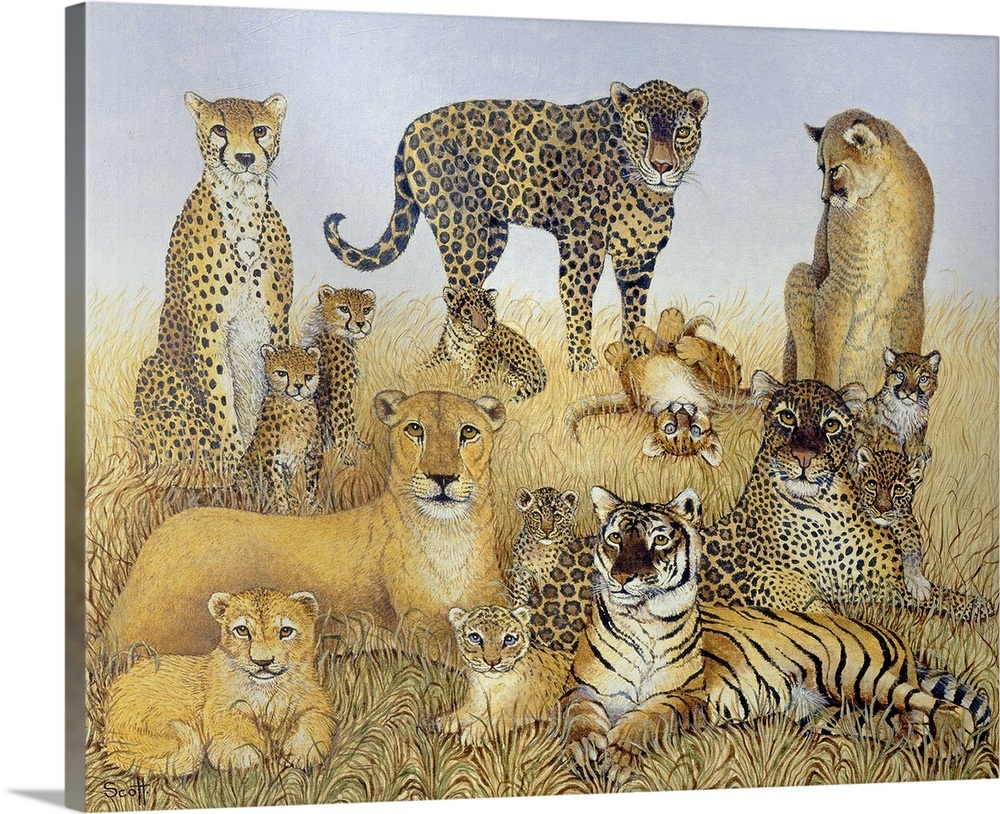 The Big Cats Wall Art, Canvas Prints, Framed Prints, Wall Peels | Great ...