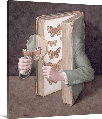 The Collector, 2005 | Great Big Canvas