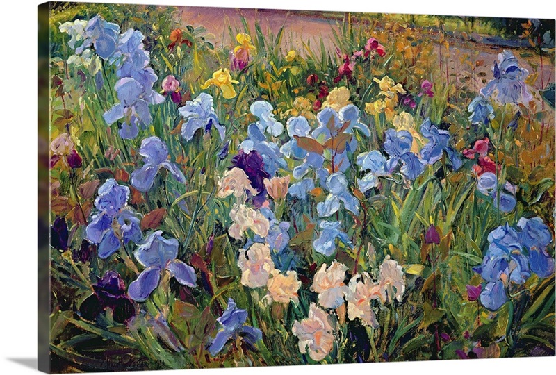 The Iris Bed, 1993 | Great Big Canvas