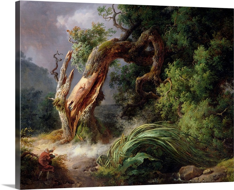 The Oak and the Reed, 1816 | Great Big Canvas