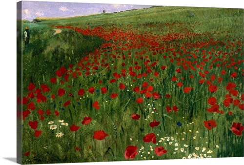 The Poppy Field, 1896 | Great Big Canvas