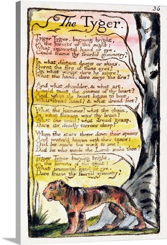 'The Tyger', Plate 36 From 'Songs Of Innocence And Of Experience ...