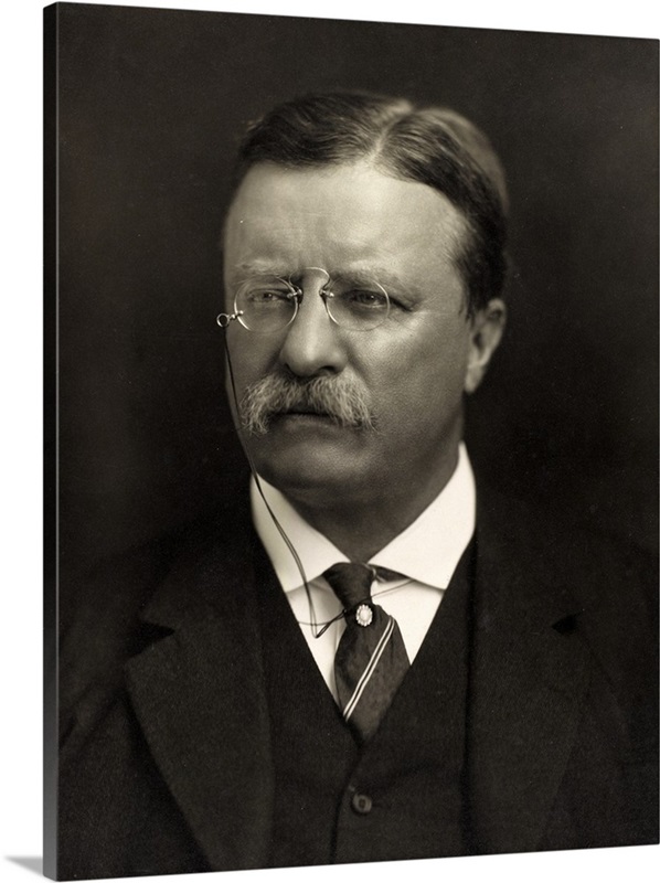 Theodore Roosevelt | Great Big Canvas