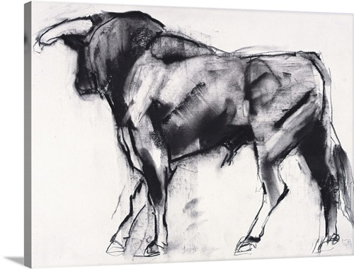 Toro Azul, study | Great Big Canvas