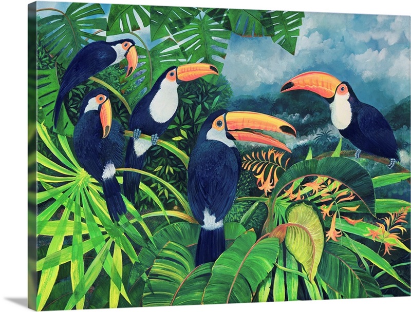 Toucan Talk | Great Big Canvas