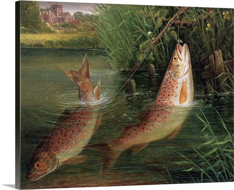 Trout at Winchester | Great Big Canvas