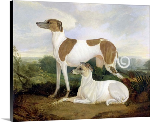 Two Greyhounds in a Landscape | Great Big Canvas