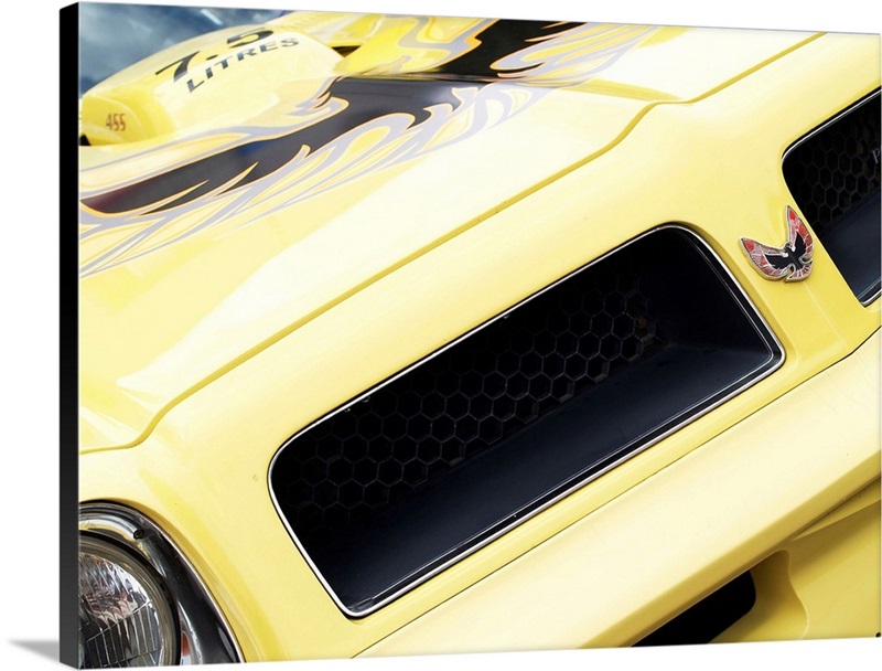 1976 Pontiac Trans Am Wall Art, Canvas Prints, Framed Prints, Wall ...