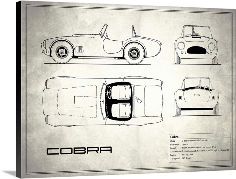 AC Cobra White | Great Big Canvas