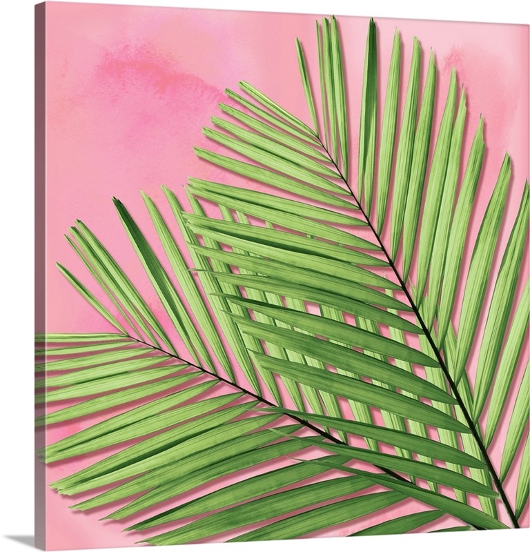 Palm on Pink I | Great Big Canvas