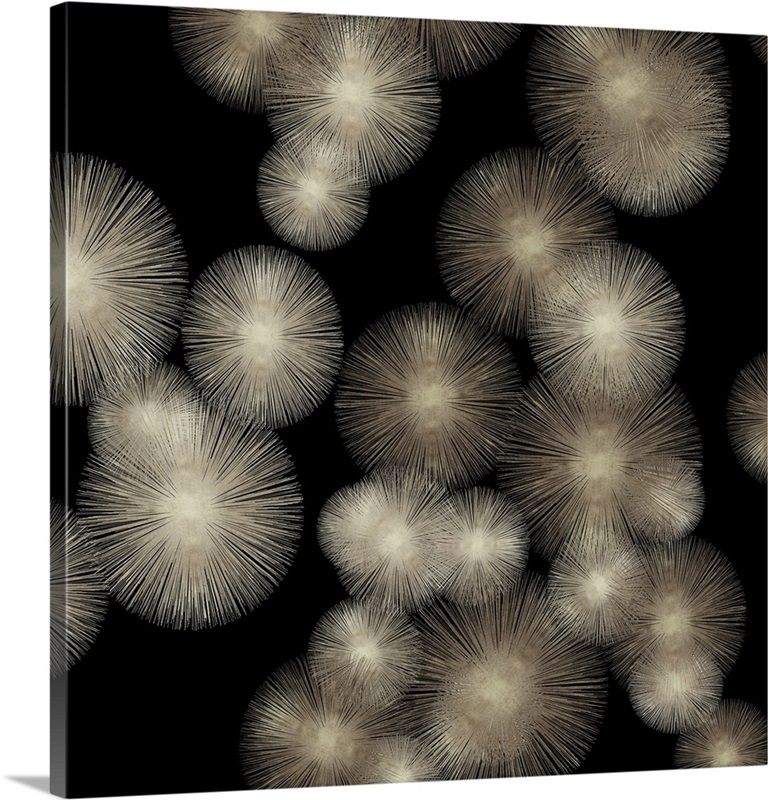 Pewter Sunbursts | Great Big Canvas