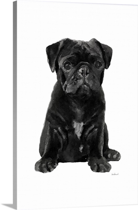Pug II Wall Art, Canvas Prints, Framed Prints, Wall Peels | Great Big ...