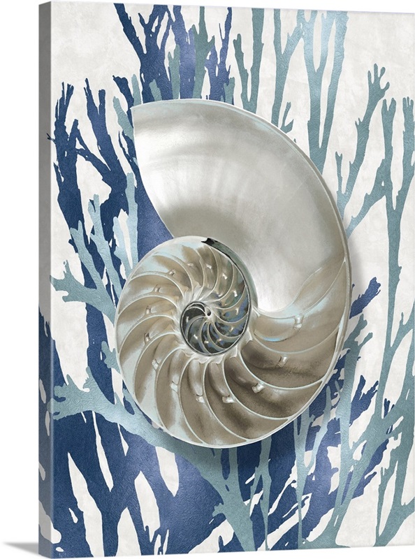 Shell Coral Aqua Blue II | Great Big Canvas