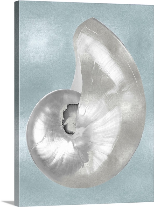 Silver Shell on Aqua Blue I | Great Big Canvas