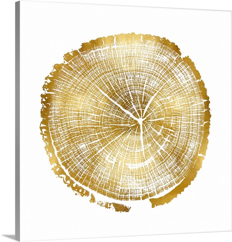 Timber Gold I | Great Big Canvas