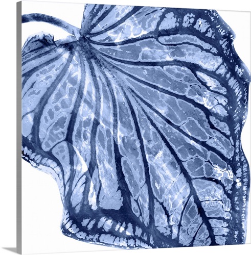 Tropical Indigo Palm III | Great Big Canvas