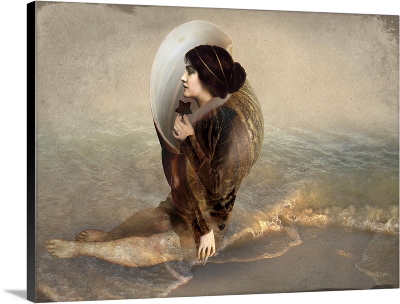 The Collector | Great Big Canvas