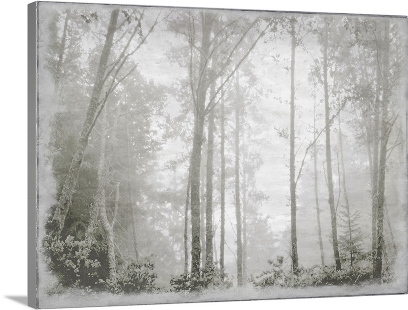 Forest Light Grey | Great Big Canvas
