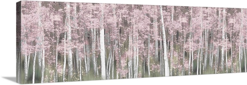 Pink Birch | Great Big Canvas