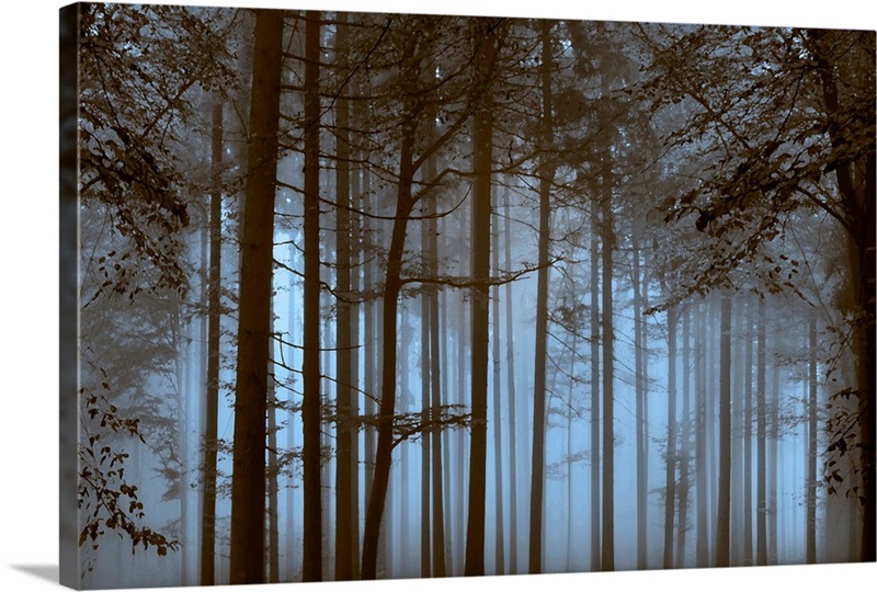 Trees Path Sepia | Great Big Canvas