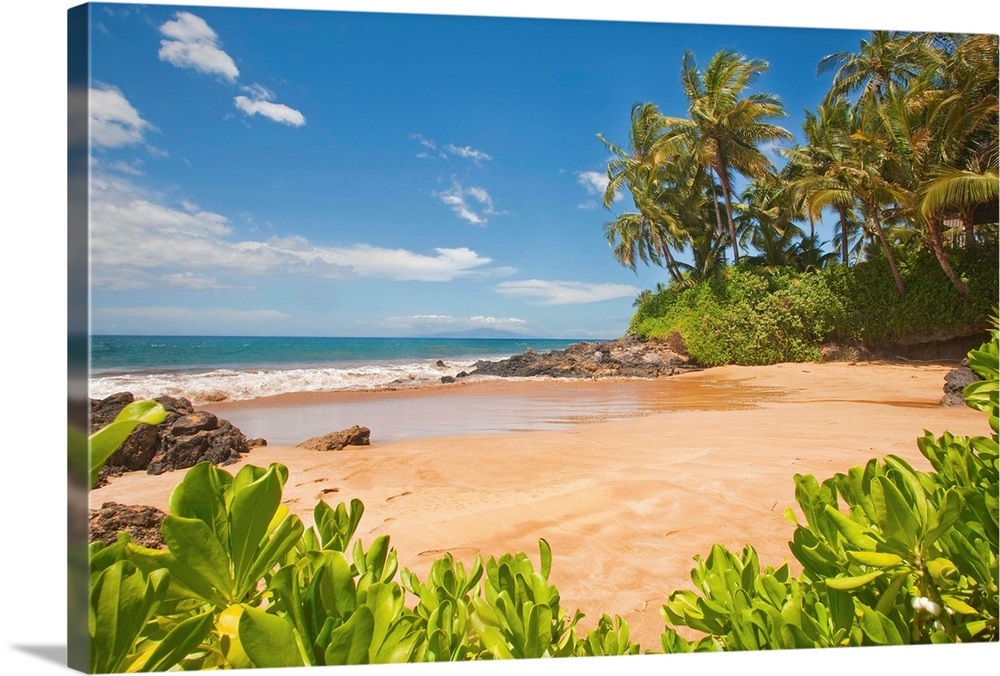 Secluded Sandy Beach On Maui Wall Art, Canvas Prints, Framed Prints ...