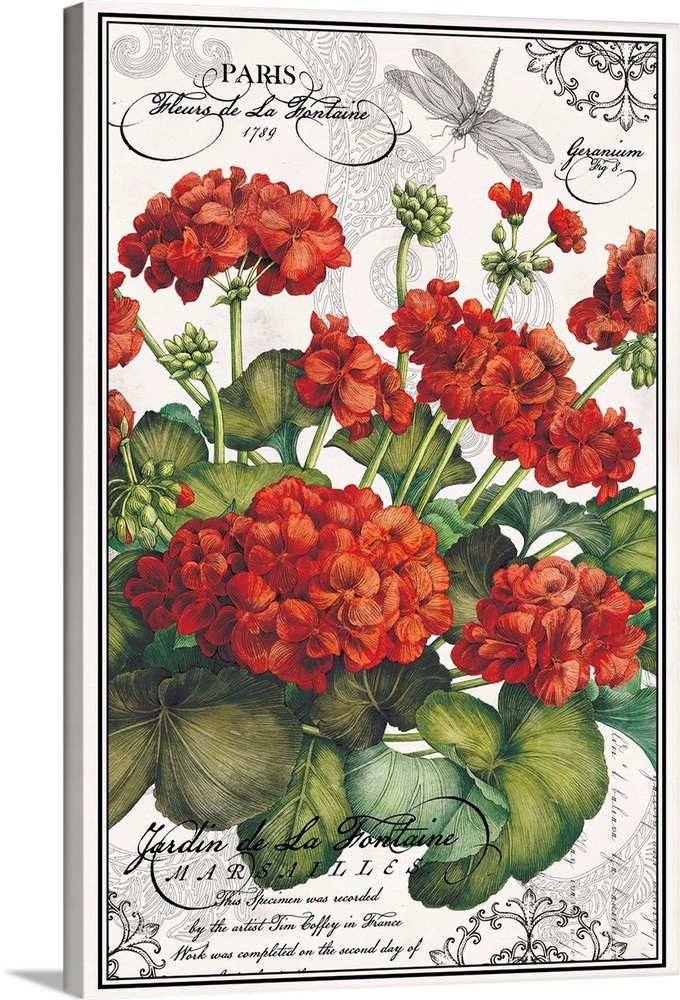 Botanical Geraniums Wall Art, Canvas Prints, Framed Prints, Wall Peels ...
