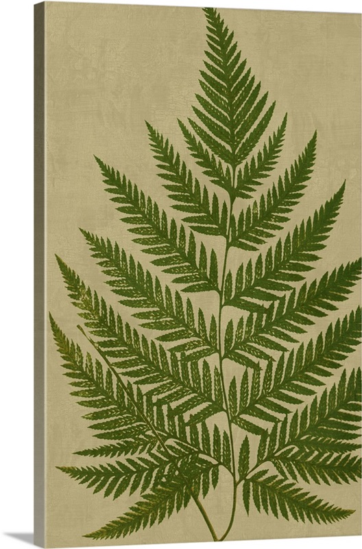 Chantrell VIII v4 | Great Big Canvas