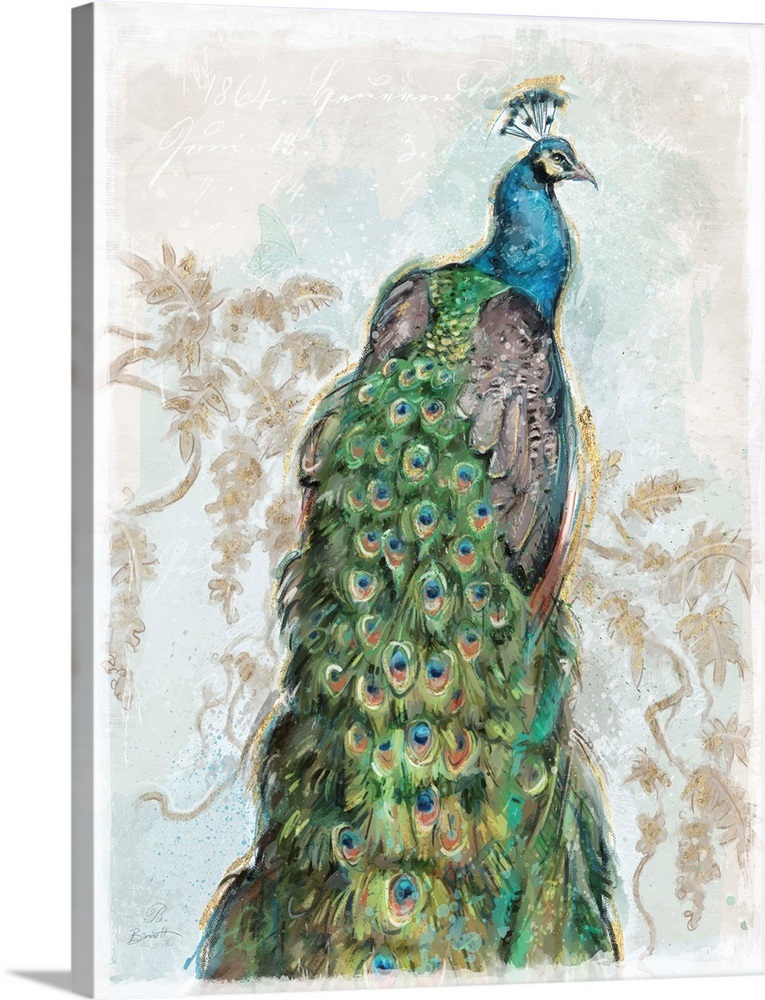 Classic Peacock Wall Art Canvas Prints Framed Prints Wall Peels Great Big Canvas