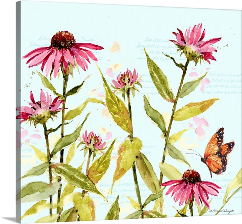 Coneflower | Great Big Canvas