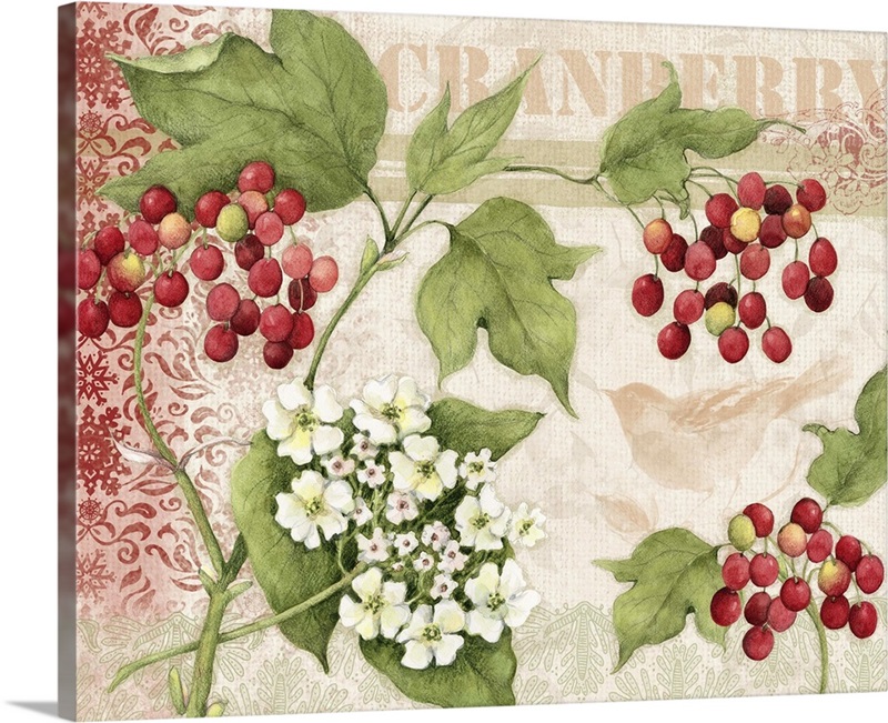 Cranberry | Great Big Canvas
