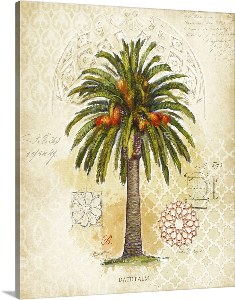 Date Palm Wall Art, Canvas Prints, Framed Prints, Wall Peels | Great ...