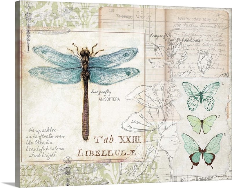 Dragonfly Study | Great Big Canvas