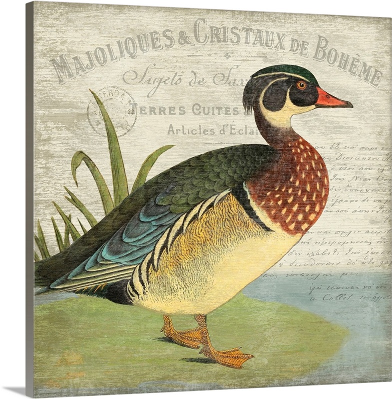 French Duck Motif I | Great Big Canvas