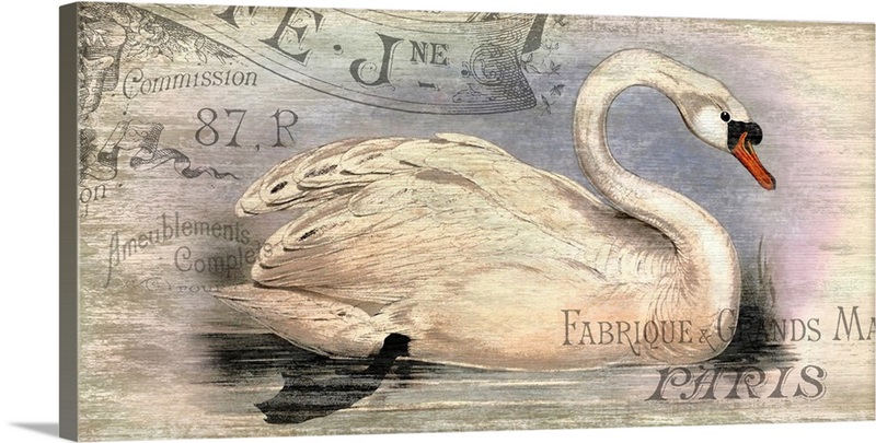 French Swan Motif III | Great Big Canvas