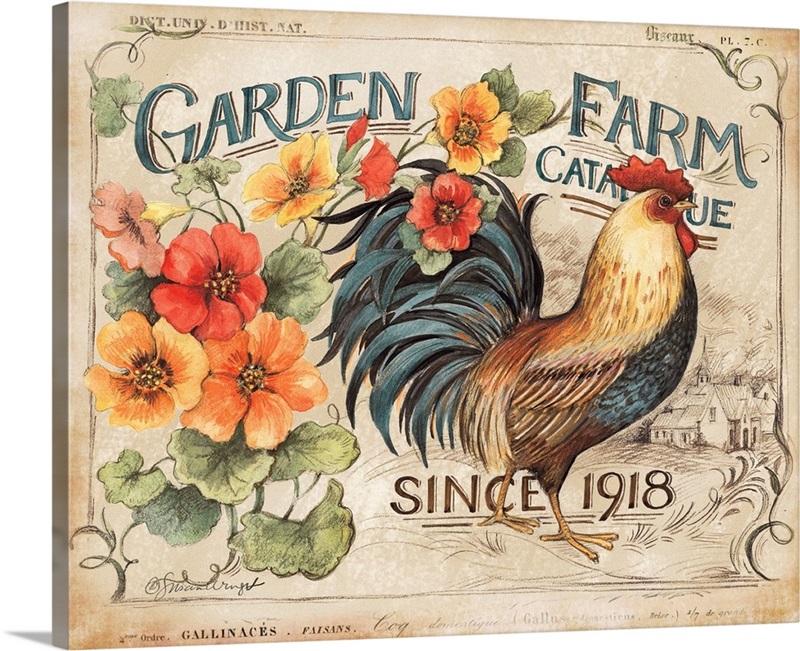 Garden Farm Rooster | Great Big Canvas