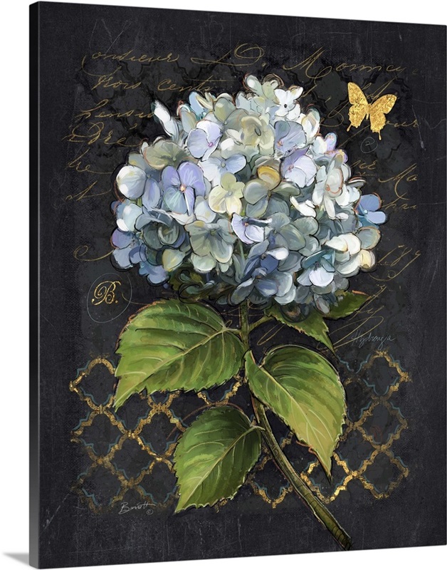 Heirloom Hydrangea on Black | Great Big Canvas