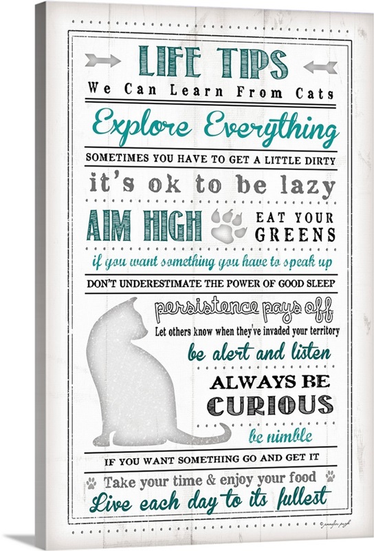 Life Tips - Cats | Great Big Canvas
