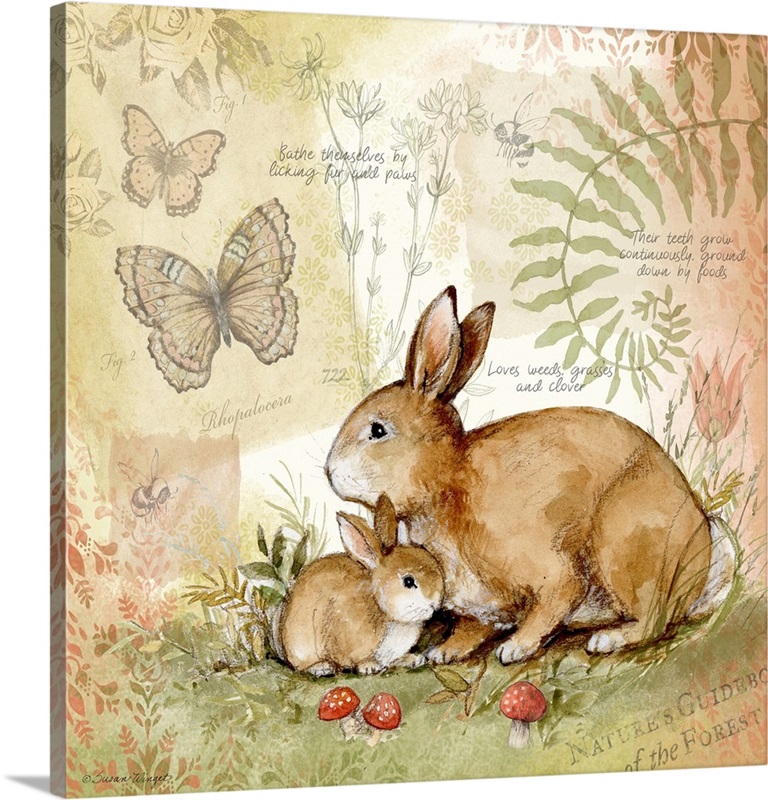 Rabbit And Baby | Great Big Canvas