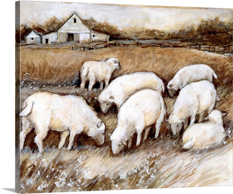 Sheep In The Field | Great Big Canvas