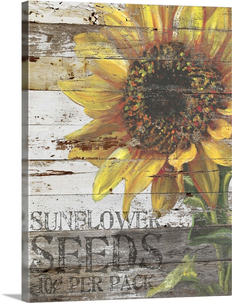 Sunflower Seeds Sign Wall Art, Canvas Prints, Framed Prints, Wall Peels ...
