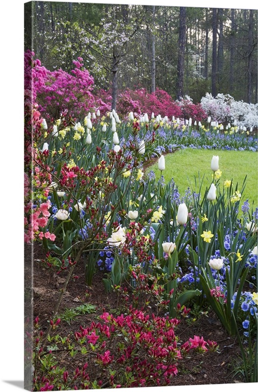 A border of spring flowers | Great Big Canvas