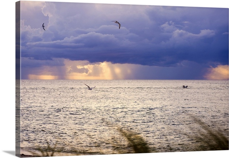 Afternoon storms, Redfish pass, Captiva Island, FL | Great Big Canvas